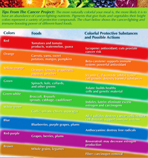 Cancer PCRM Class Aug 31st :: Saladmaster Foodture | MyNewsletterBuilder