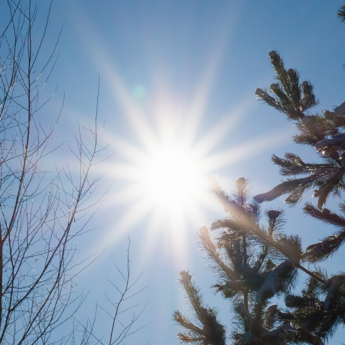 ️ Winter Solstice 🔥 Fire Ceremony :: Olympia Sacred Fire House ...