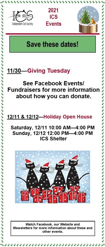 Happy Thanksgiving from ICS! :: Independent Cat Society ...