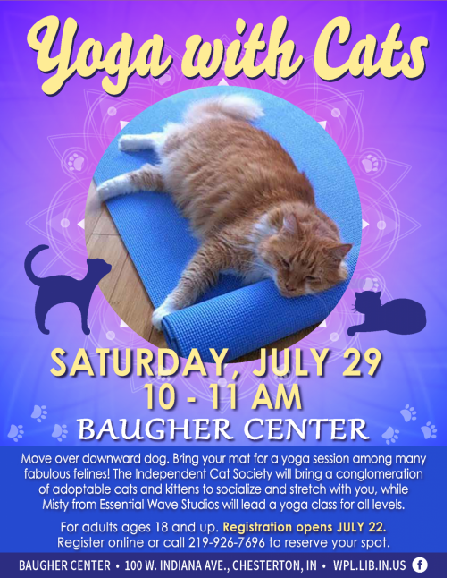 Happy Independence Day! 🎇🇺🇸🎉 Celebrate with a good book, July 15-16! 📚 ...